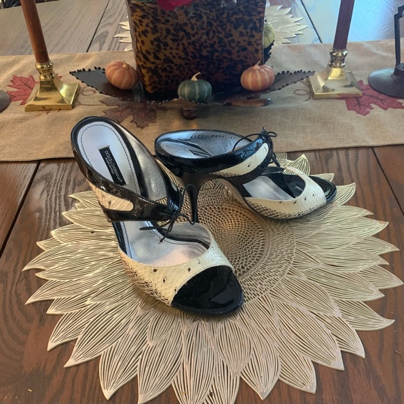 Dolce & Gabbana | Shoes | Dolce Gabbana Snakeskin Patent Leather ...